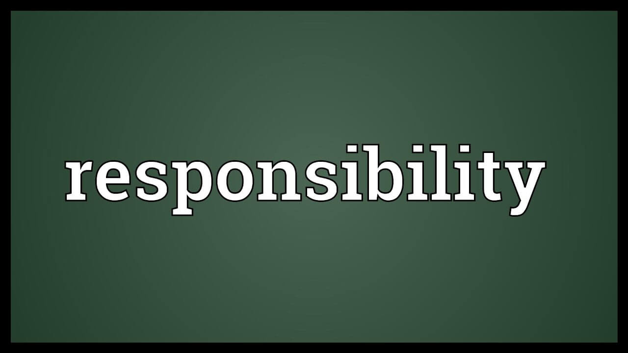 Take responsibility! And how to do it properly! – TIO
